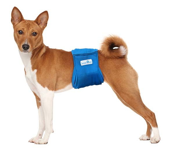 Dog Pads｜Diapers｜Male Wraps - Pet supplies - Barket Shop – Barketshop